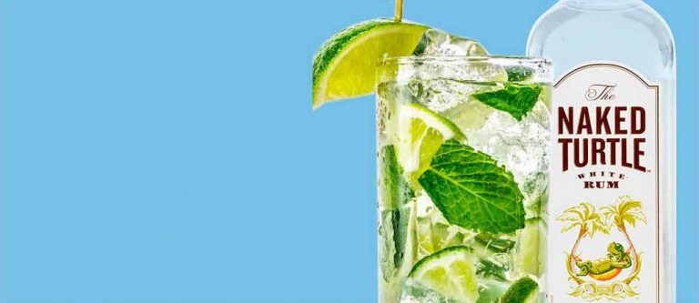 Celebrate World Sea Turtle Day with The Naked Turtle’s